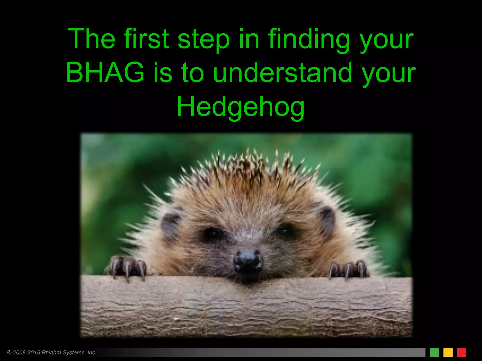 Hedgehog & BHAG | PPT