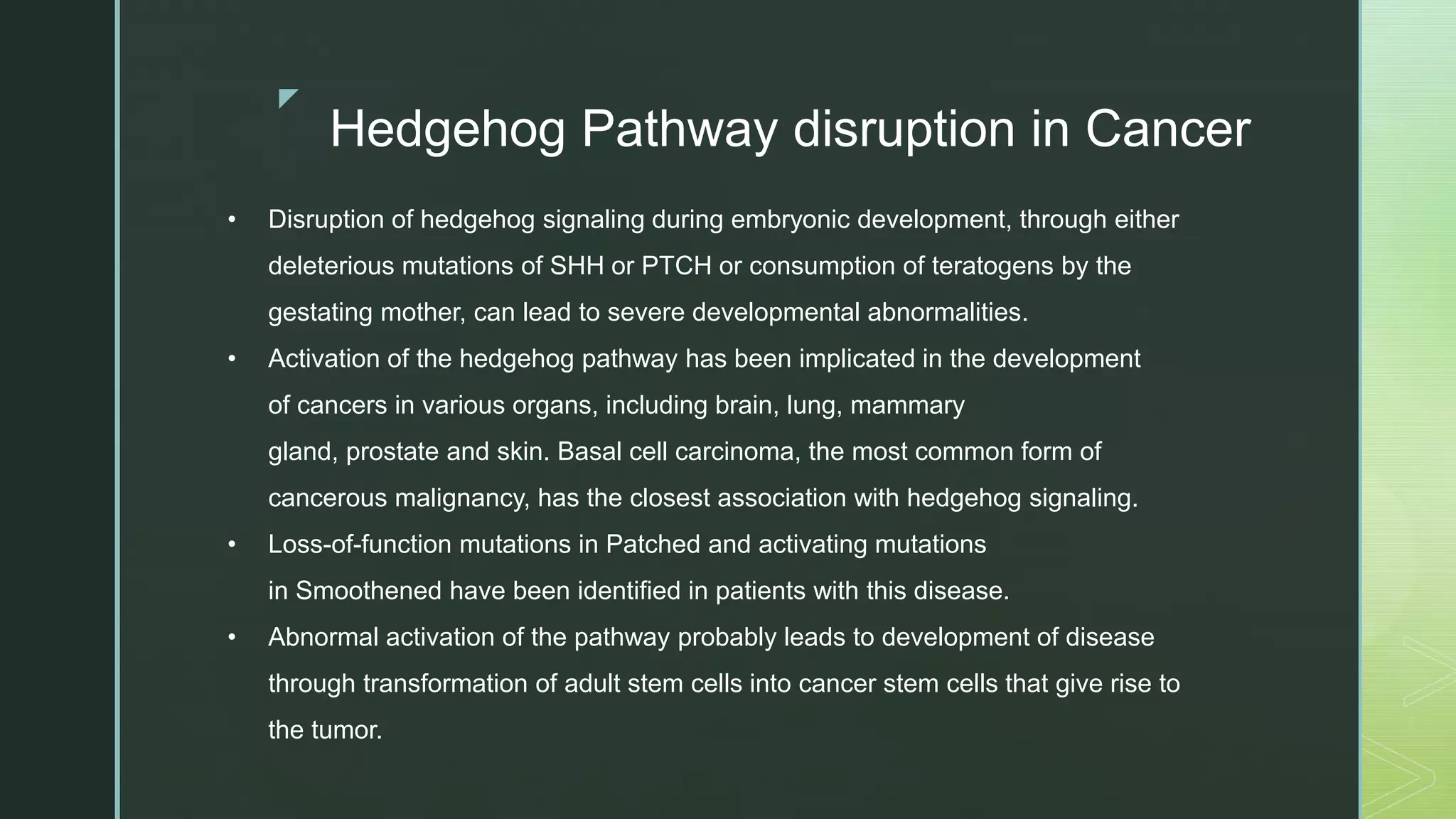 Hedgehog pathway | PPTX