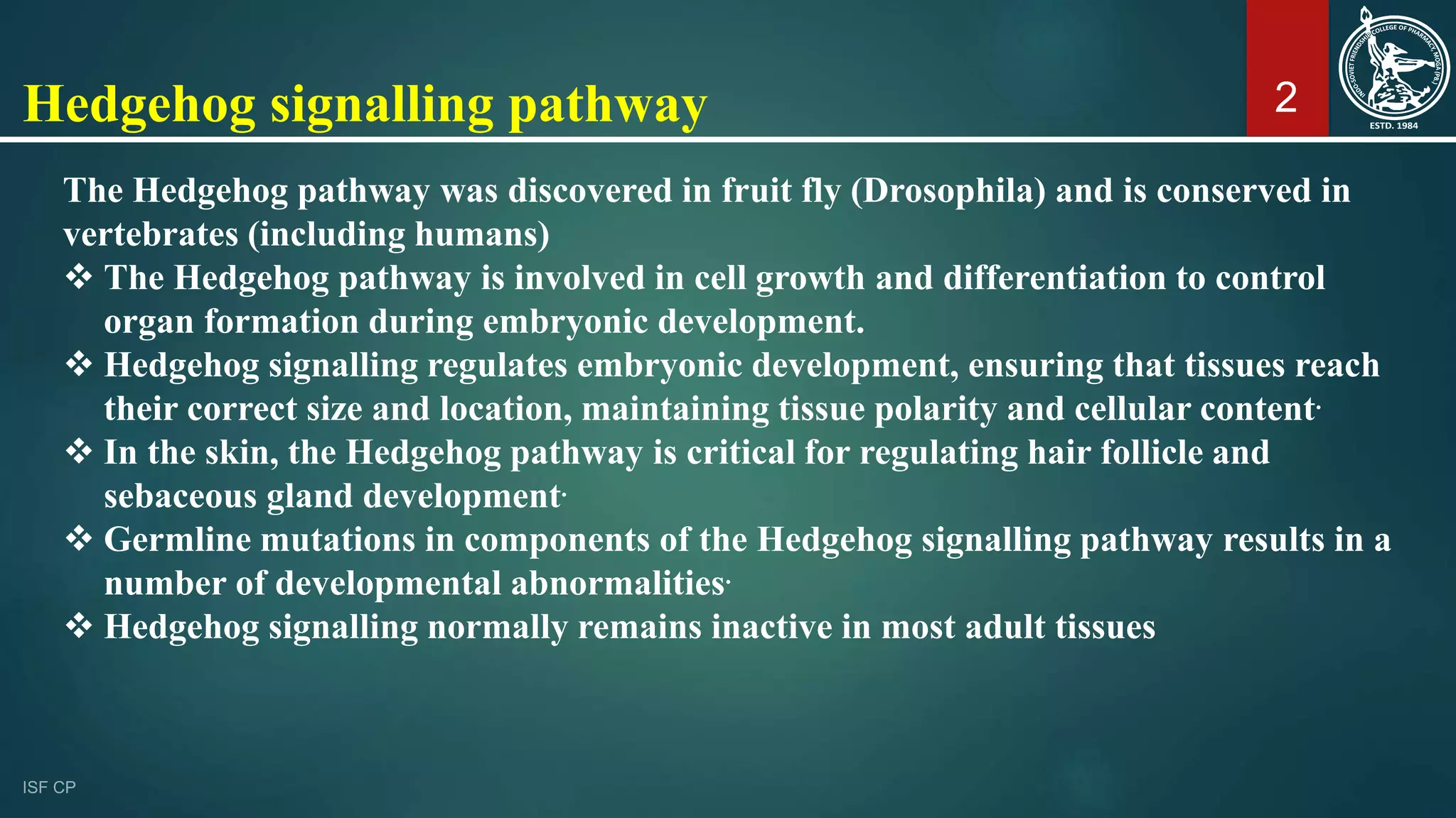 Hedgehog Pathway | PPTX