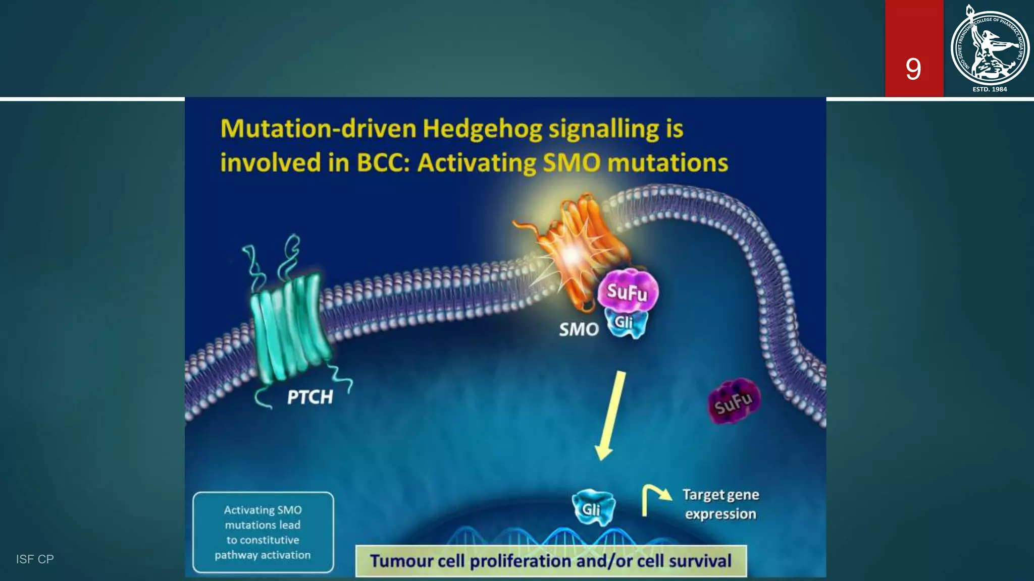 Hedgehog Pathway | PPTX