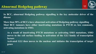 Hedgehog Pathway | PPTX