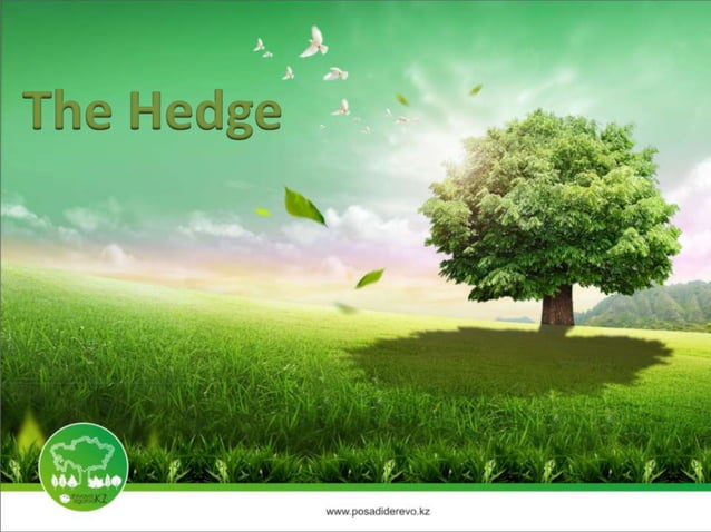 Hedge project | PPT