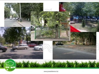 Hedge project | PPTX