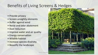 hedges.pdf
