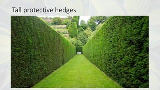 hedges.pdf