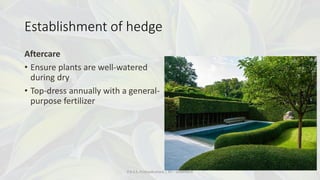 hedges.pdf
