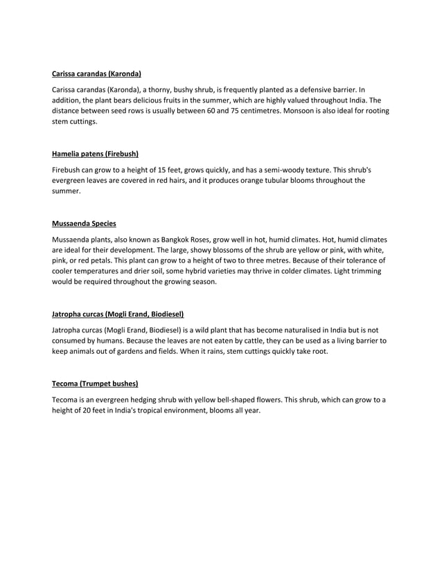 Hedges : Meaning & The Best Hedge Plants For Your Garden | PDF ...