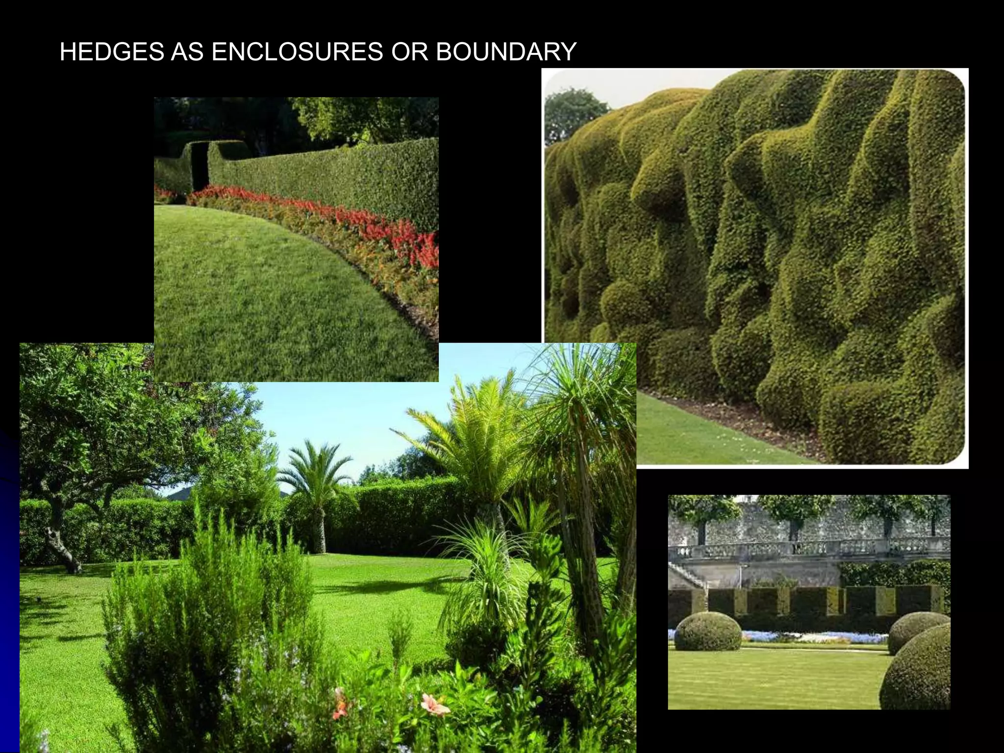 Hedges , edges & topiary ed | PPT