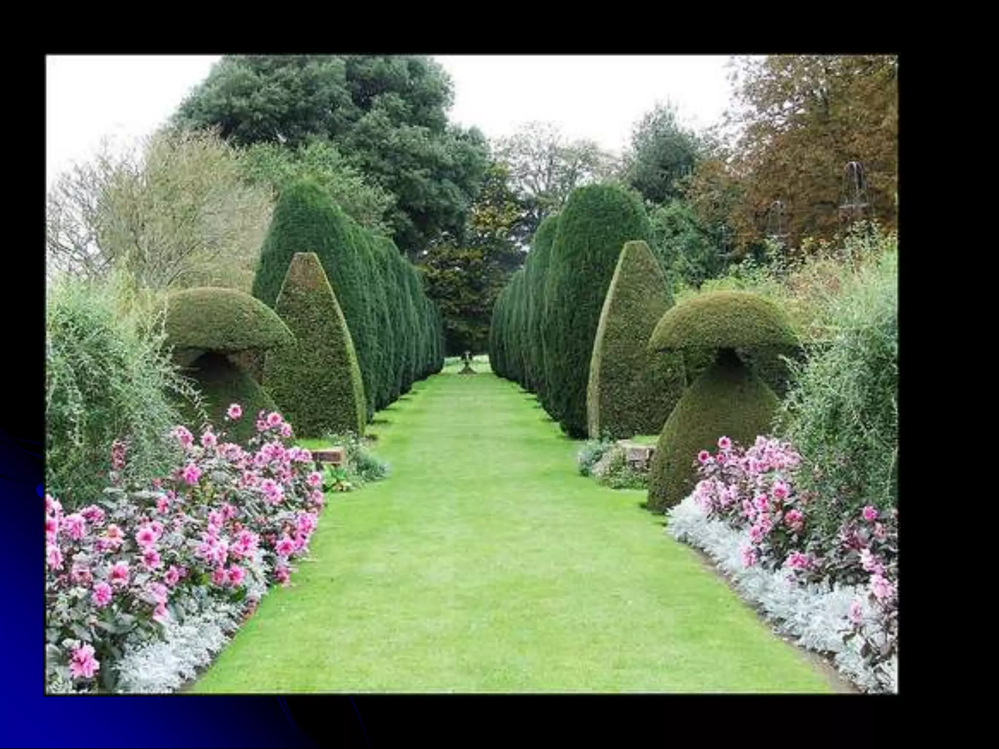 Hedges , edges & topiary ed | PPT