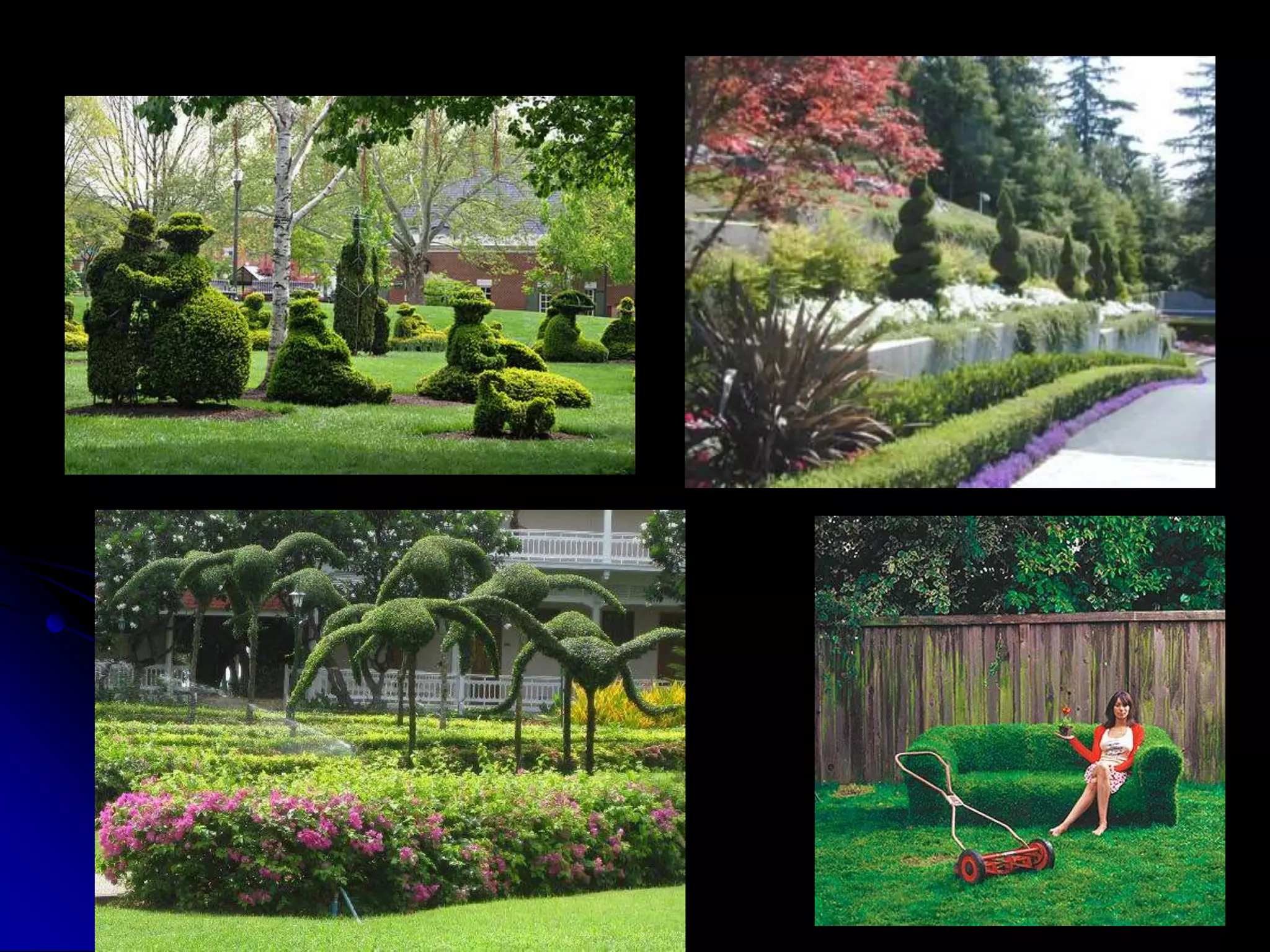 Hedges , edges & topiary ed | PPT