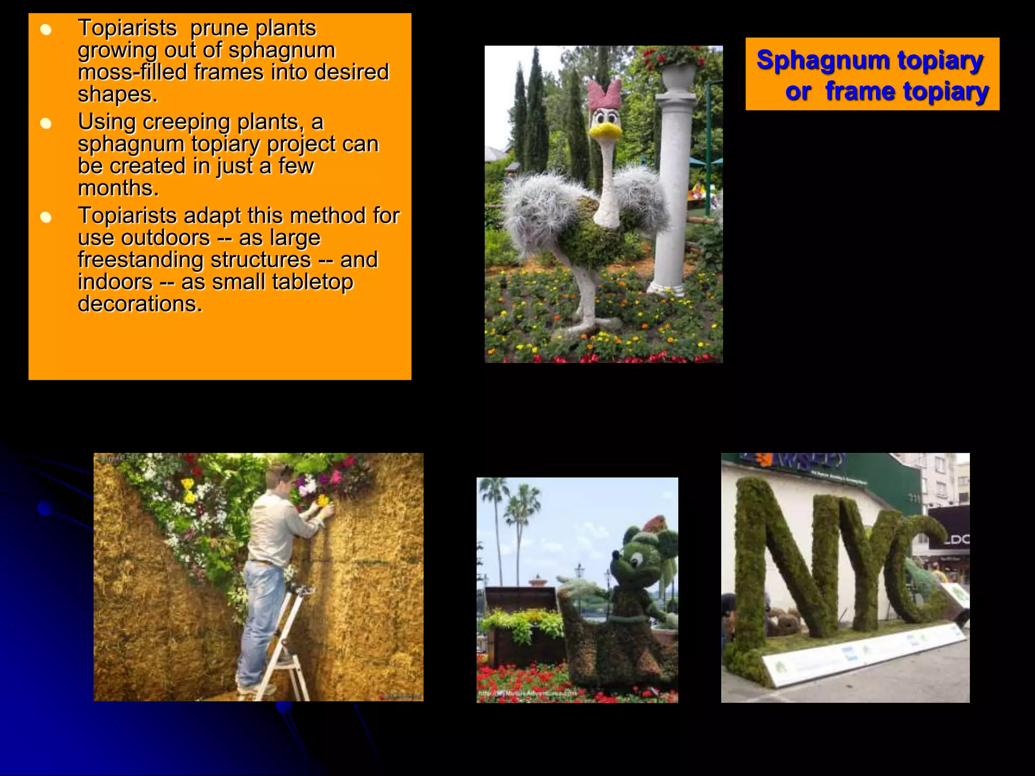 Hedges , edges & topiary ed | PPT
