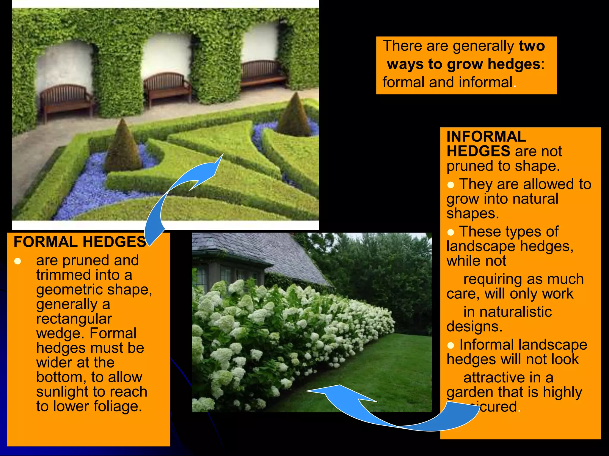Hedges , edges & topiary ed | PPT