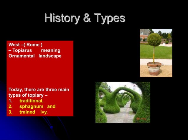 Hedges , edges & topiary ed | PPT