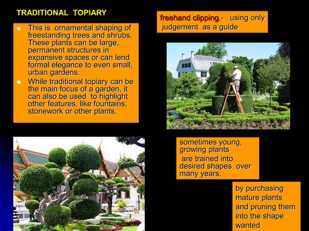 Hedges , edges & topiary ed | PPT