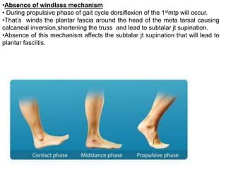 Heel pain | PPTX
