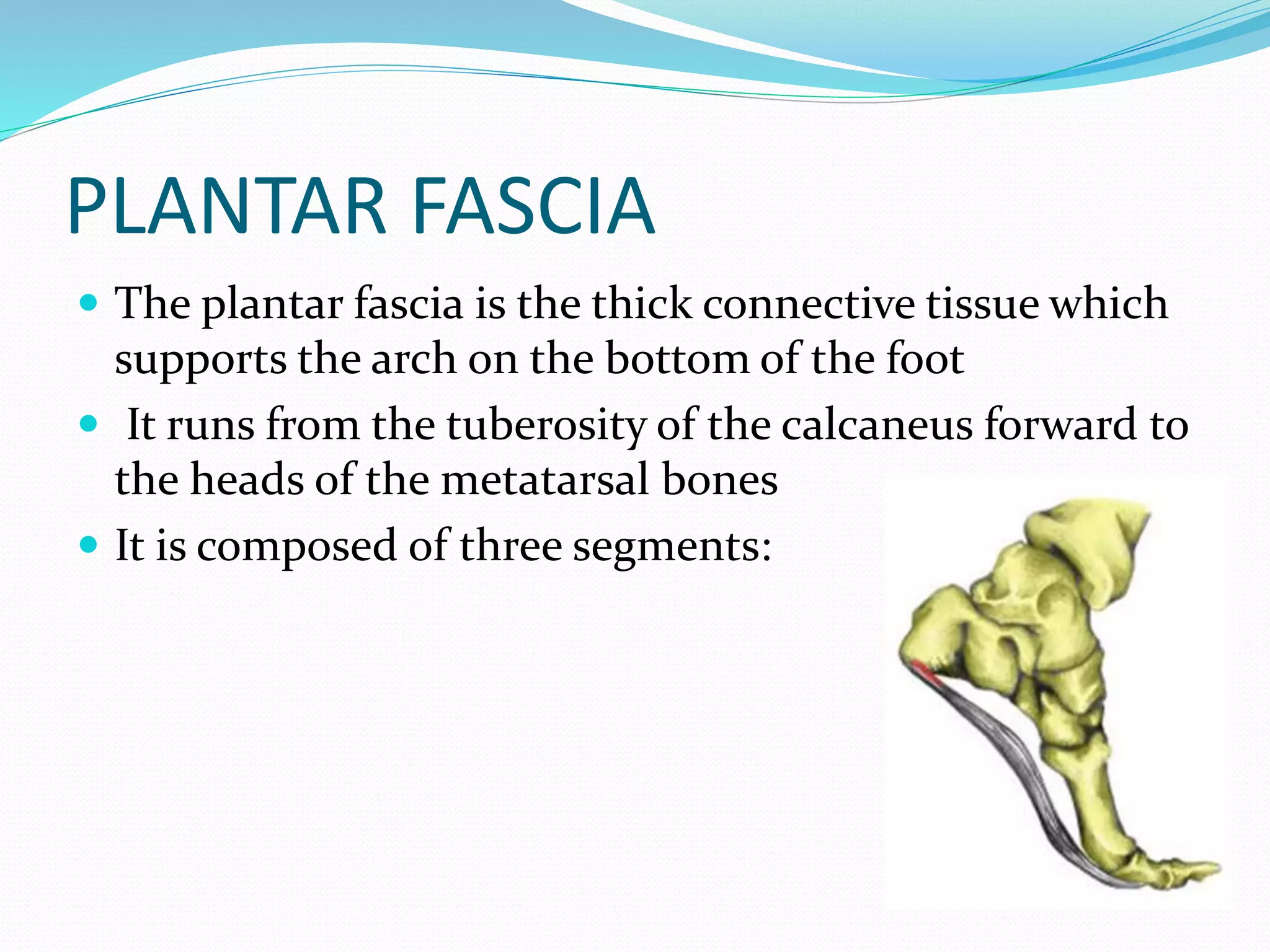 Heel pain and plantar fasciitis | PPTX