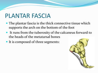 Heel pain and plantar fasciitis | PPTX