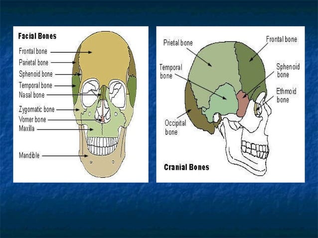 Heent | PPT | Thyroid Disorders | Endocrine and Metabolic Diseases