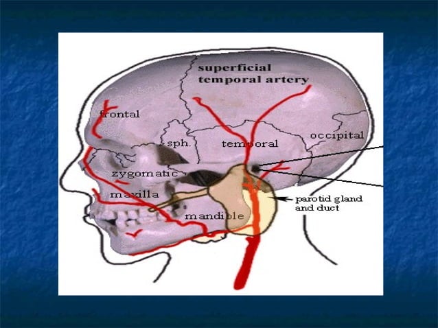 Heent | PPT | Thyroid Disorders | Endocrine and Metabolic Diseases