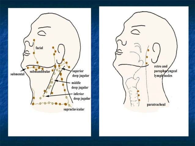 Heent | PPT | Thyroid Disorders | Endocrine and Metabolic Diseases