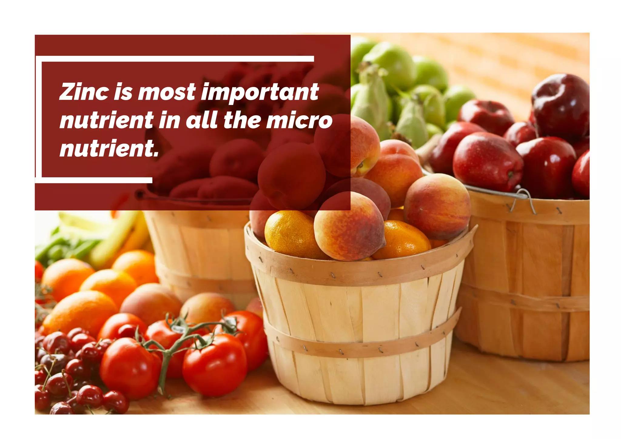 Heera zinc plus | PDF