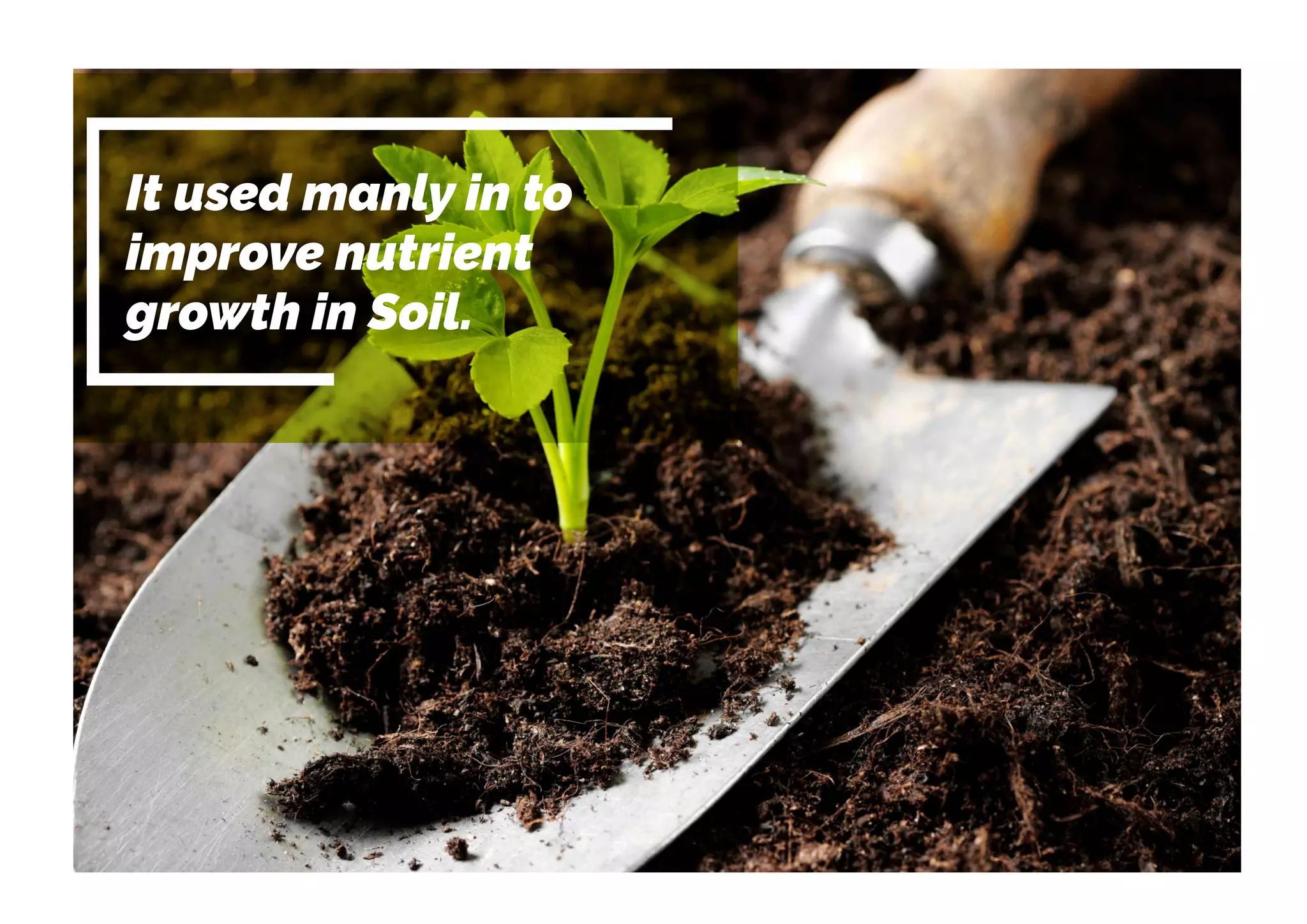 Heera zinc plus | PDF