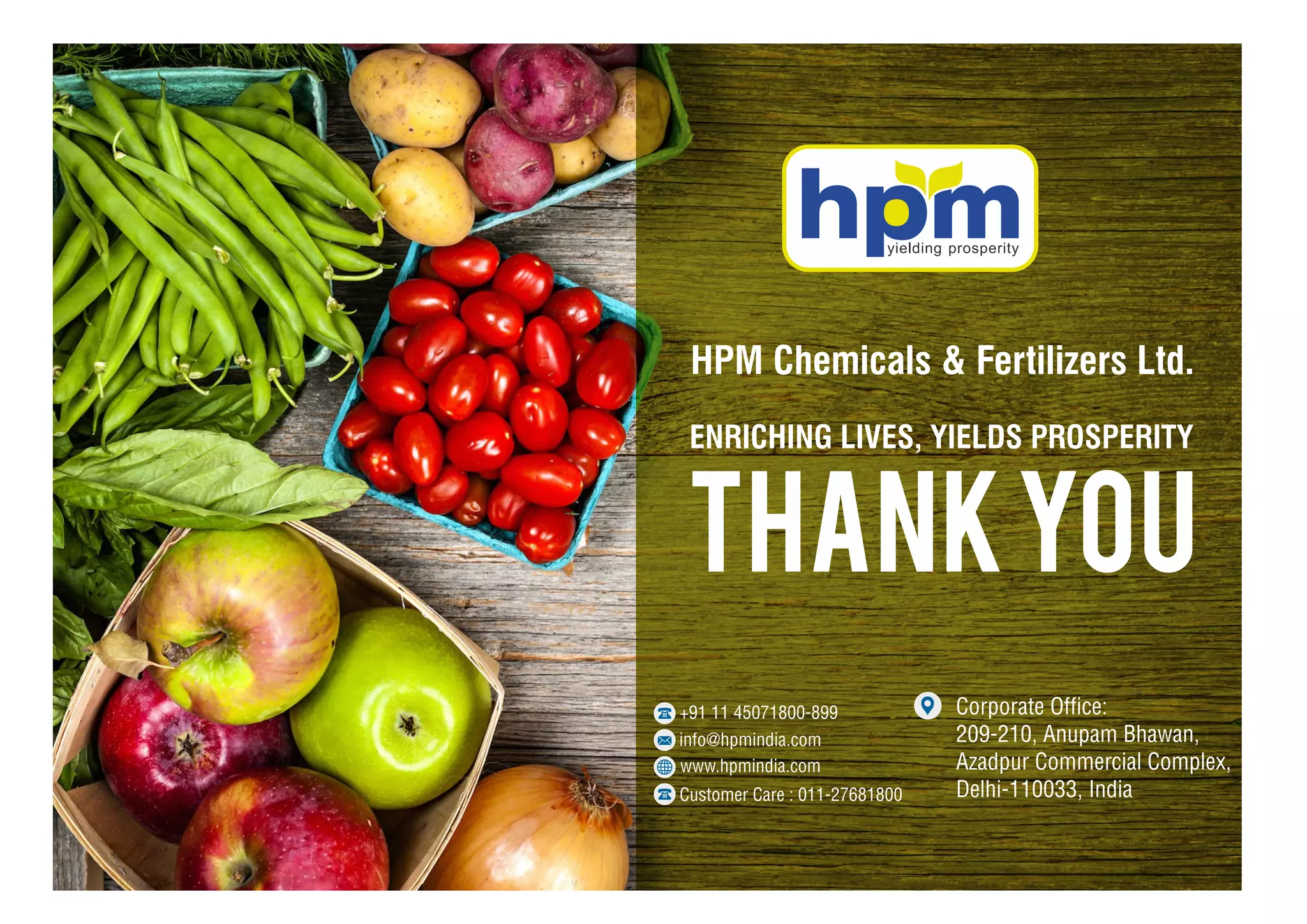 Heera zinc plus | PDF