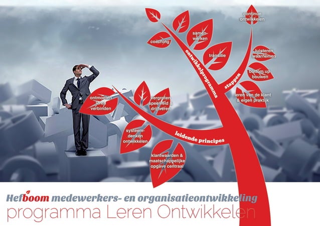 Hefboom duurzaam Leren Ontwikkelen | PDF