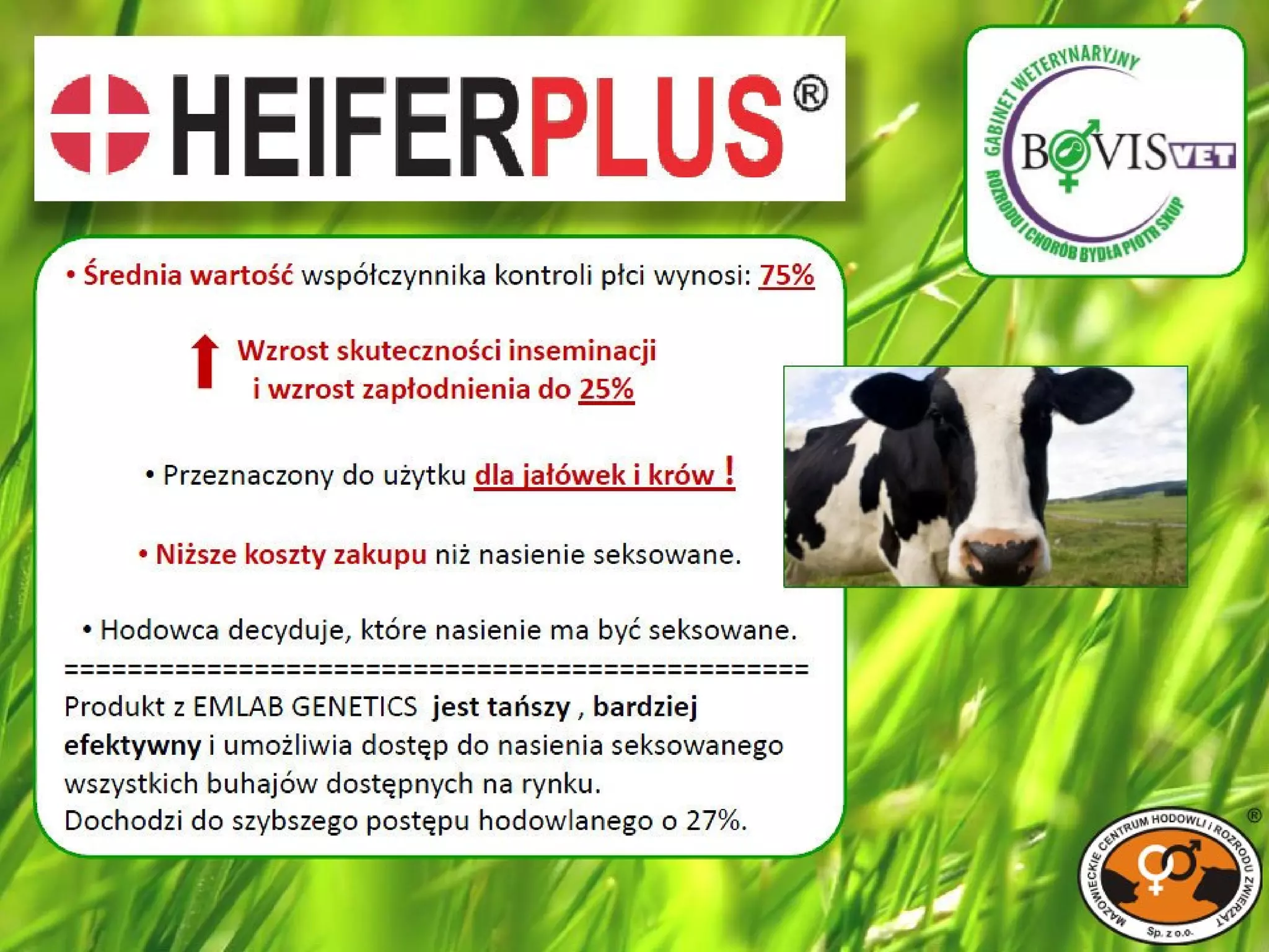 HeiferPlus - prezentacja produktu | PDF