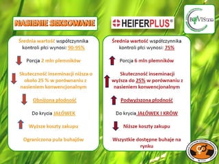 HeiferPlus - prezentacja produktu | PDF