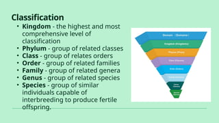 HEIRARCHICAL TAXONOMIC CLASSIFICATION.pptx