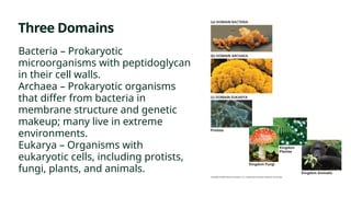 HEIRARCHICAL TAXONOMIC CLASSIFICATION.pptx