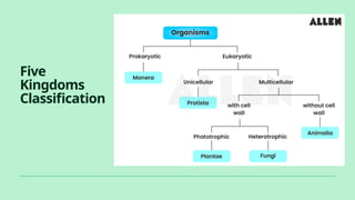 HEIRARCHICAL TAXONOMIC CLASSIFICATION.pptx