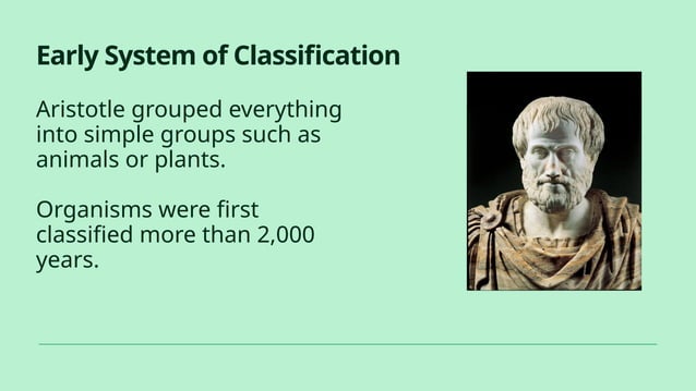 HEIRARCHICAL TAXONOMIC CLASSIFICATION.pptx