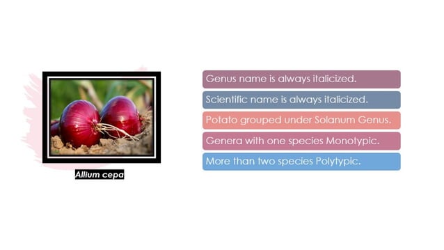 Heirarchy of the Level of Organization.pptx