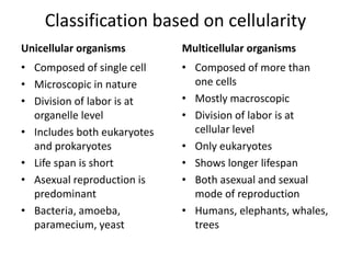 Heirarchy of life forms and classification.pptx