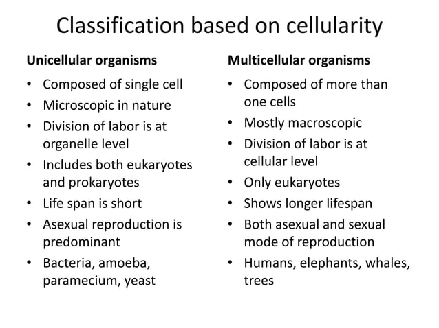 Heirarchy of life forms and classification.pptx | Biological Sciences ...