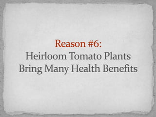 Top 6 Reasons to Grow Heirloom Tomato Plants | PPTX