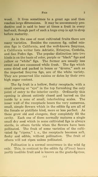 Figs; by Bror Eric Dahlgren (1922) | PDF