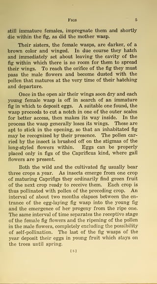 Figs; by Bror Eric Dahlgren (1922) | PDF