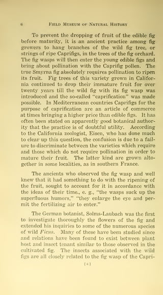 Figs; by Bror Eric Dahlgren (1922) | PDF