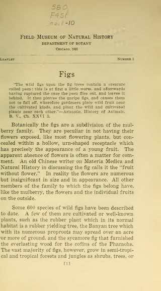 Figs; by Bror Eric Dahlgren (1922) | PDF