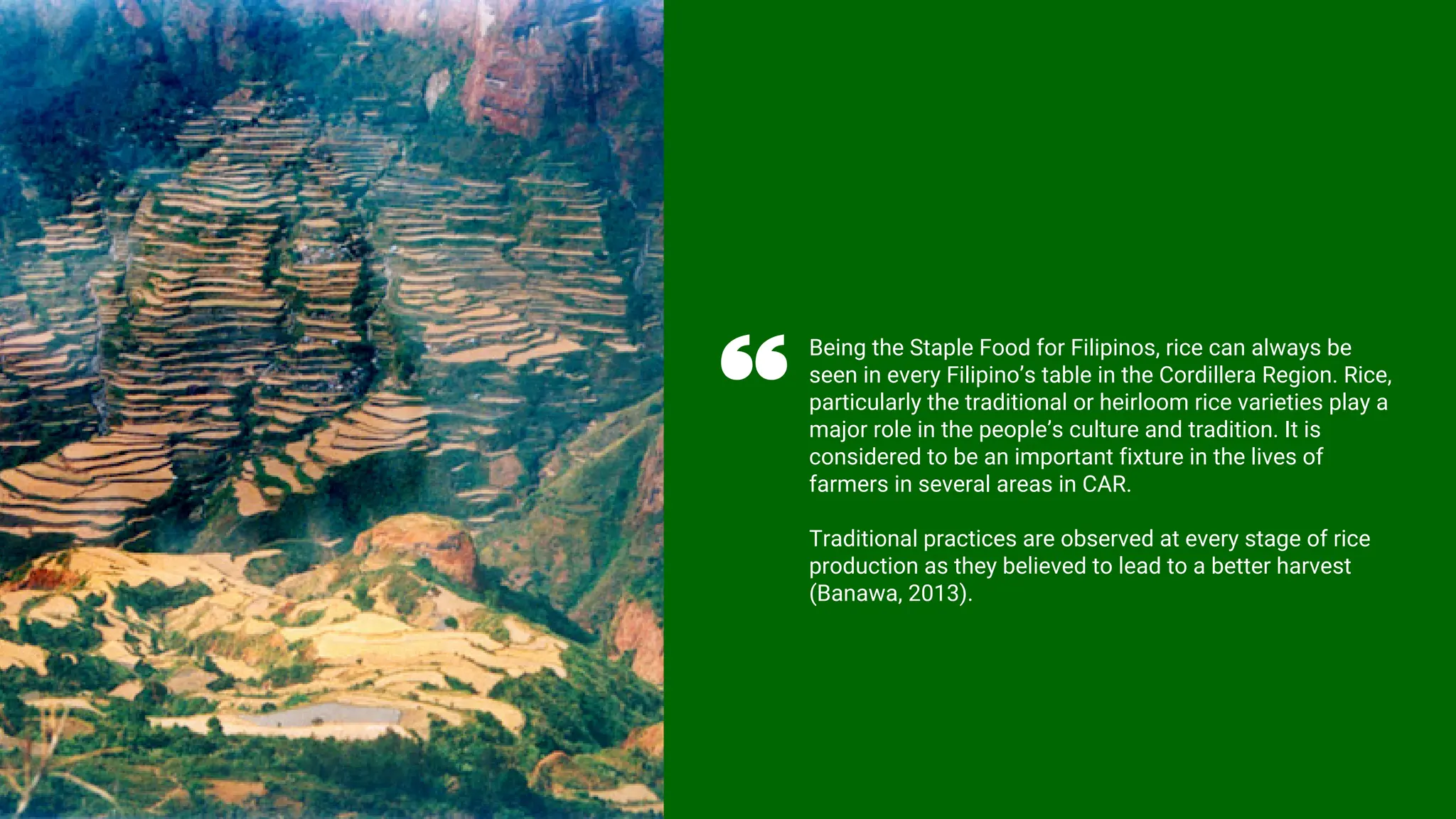 Heirloom Rice of the Cordilleras Presentation PDF.pdf