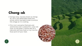 Heirloom Rice of the Cordilleras Presentation PDF.pdf