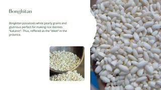 Heirloom Rice of the Cordilleras Presentation PDF.pdf
