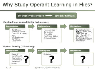 The neurobiology of spontaneous actions and operant learning in ...
