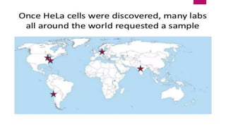 HeLa cell line copy, origin, their features | PDF