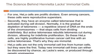 HeLa cell line copy, origin, their features | PPT