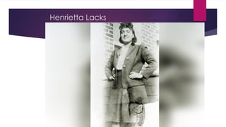 HeLa cell line their features and all the important information | PPT