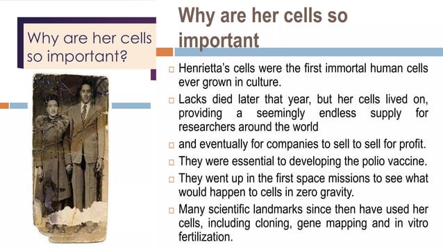 HeLa cell line their features and all the important information | PPT